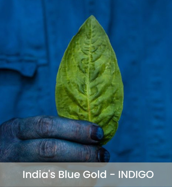 Reviving Indigo: The Contemporary Twist to Traditional Indigo Block Pr ...